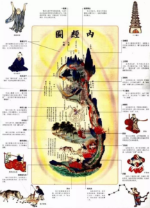 The Complete Analysis of Nei Jing Tu - 道教世界 - Dao World